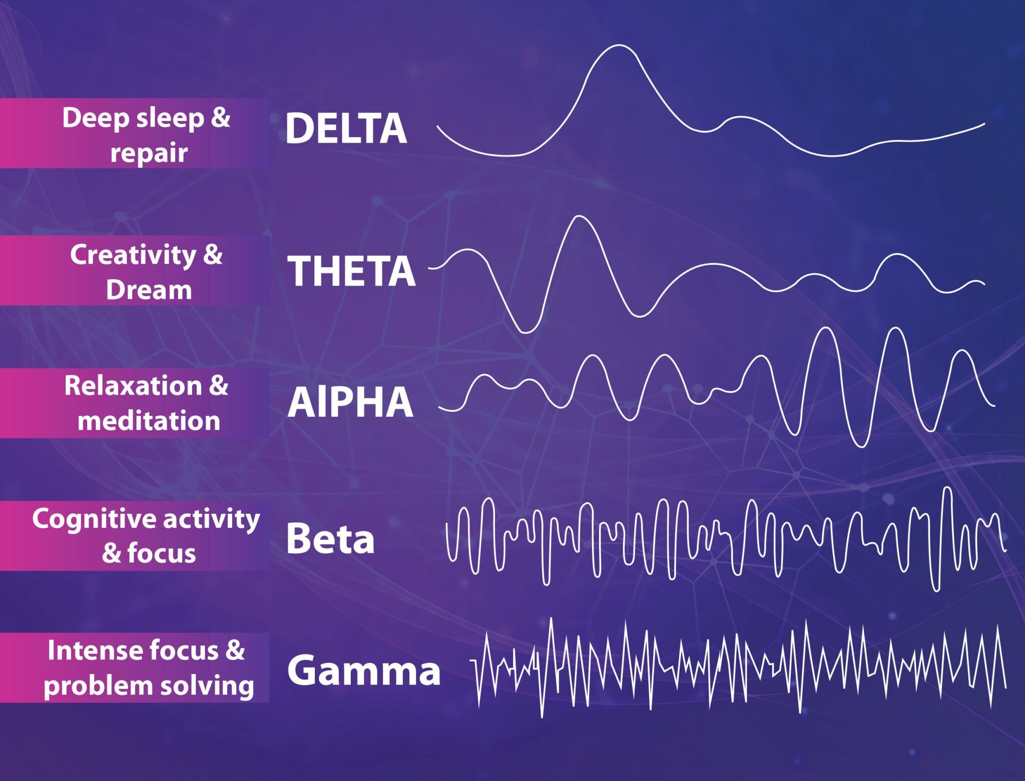 A Beginner’s Guide to Brainwave Functions - Neurofeedback Training ...